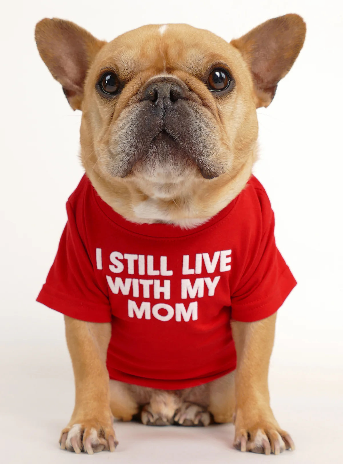 Clothing – Family Pet Goods